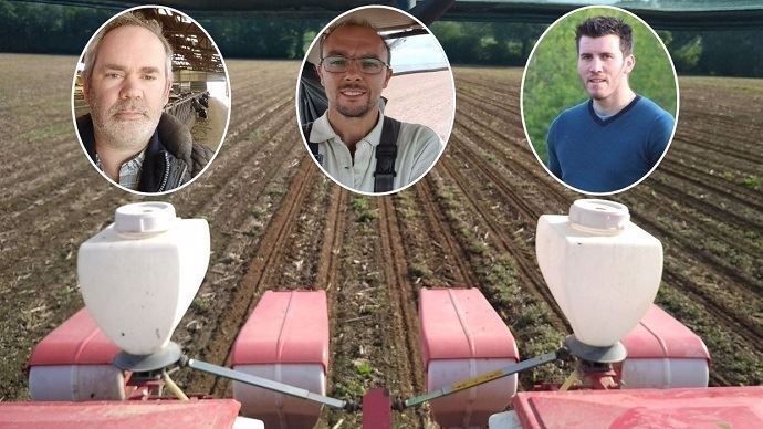 Témoignage d'éleveurs protection des maïs contre les attaques de corbeaux