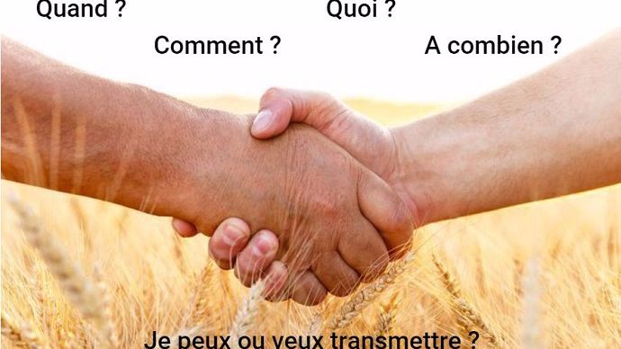Conseils pour rédiger une offre de reprise d'exploitation agricole
