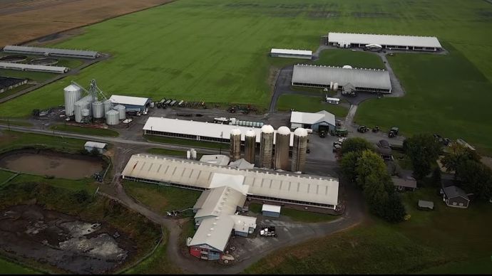 Visite d'un élevage laitier XXL au Canada