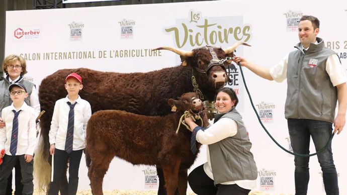 Retrouvez le palmarès des victoires de viande de bœuf Label rouge