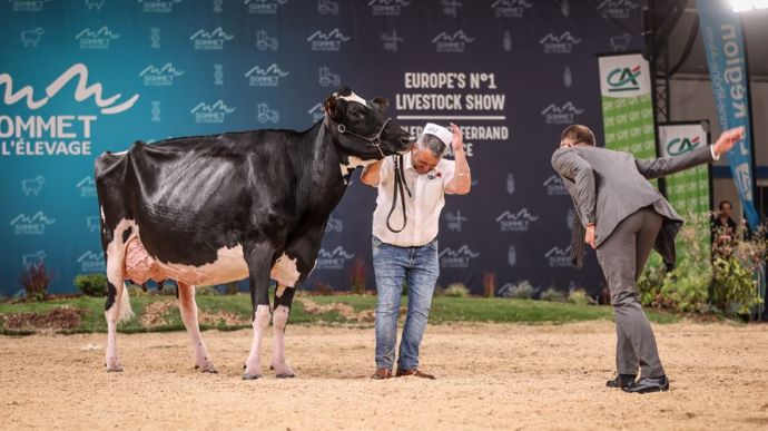 Concours Prim'holstein du Sommet de l'élevage 2022 : live, replay, palmarès