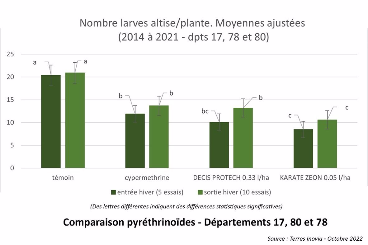 Stratégies de lutte contre les larves d'altises