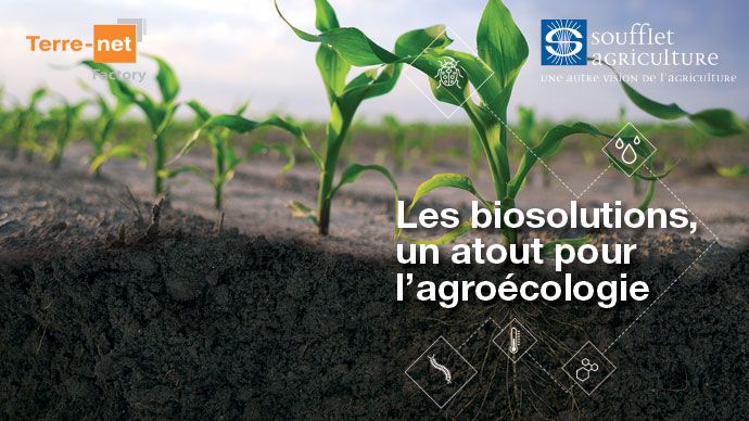 Différencier les biostimulants et le biocontrôle