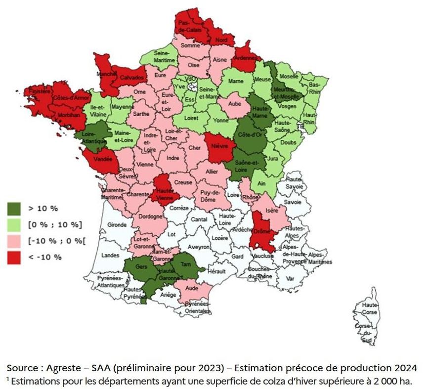 Récolte 2024 : forte baisse des surfaces de céréales d'hiver