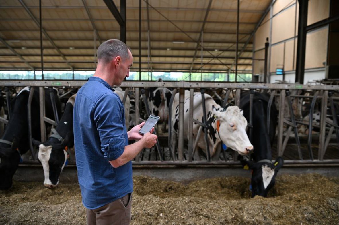 Logiciel de gestion de troupeaux