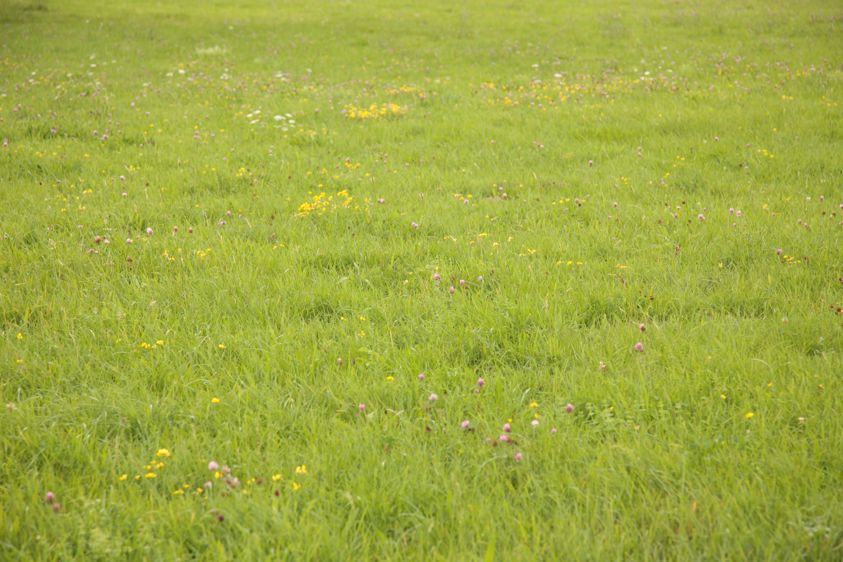 Les multiples avantages de la rotation culturale