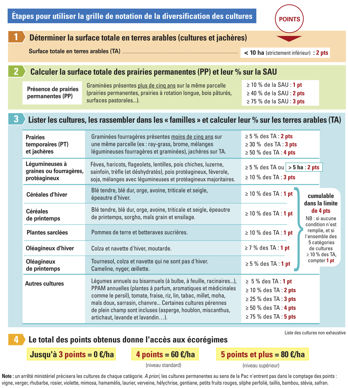 Dossier Pac 2023 : Calculer les points de son assolement pour accéder ...