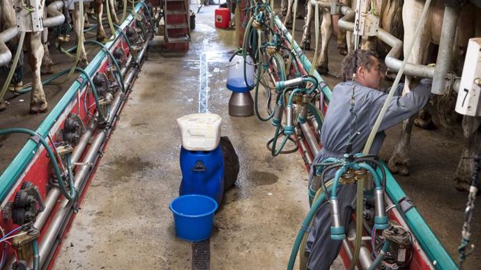 Union européenne : Rebond du cours de la poudre de lait