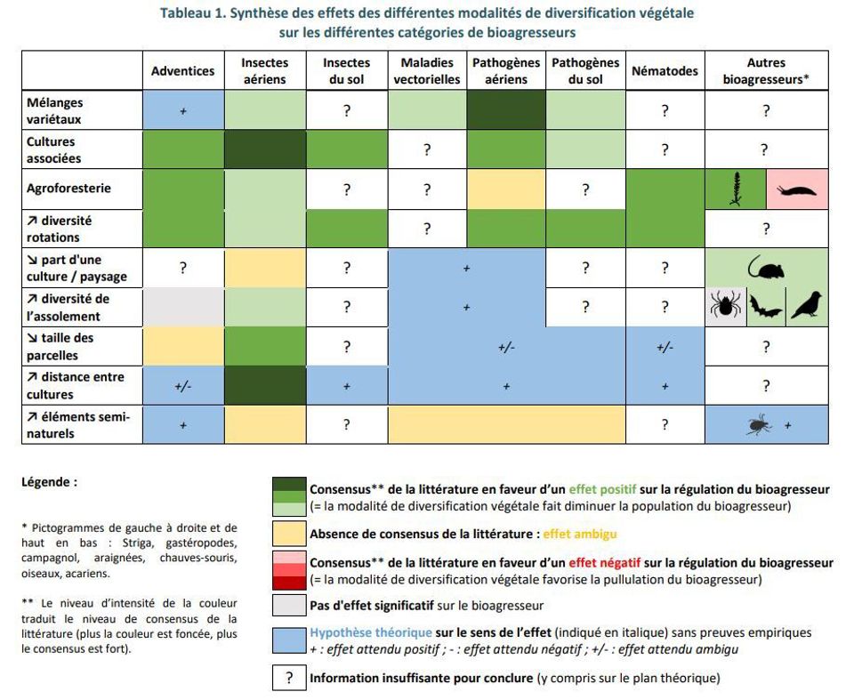 Réduction des phytos : La diversité végétale, un atout pour réguler les ...