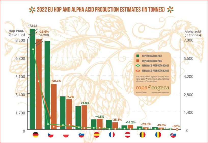 Union européenne : La production de houblon en baisse en 2022