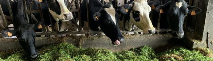 Fabriquer son aliment à la ferme, un gain d’autonomie