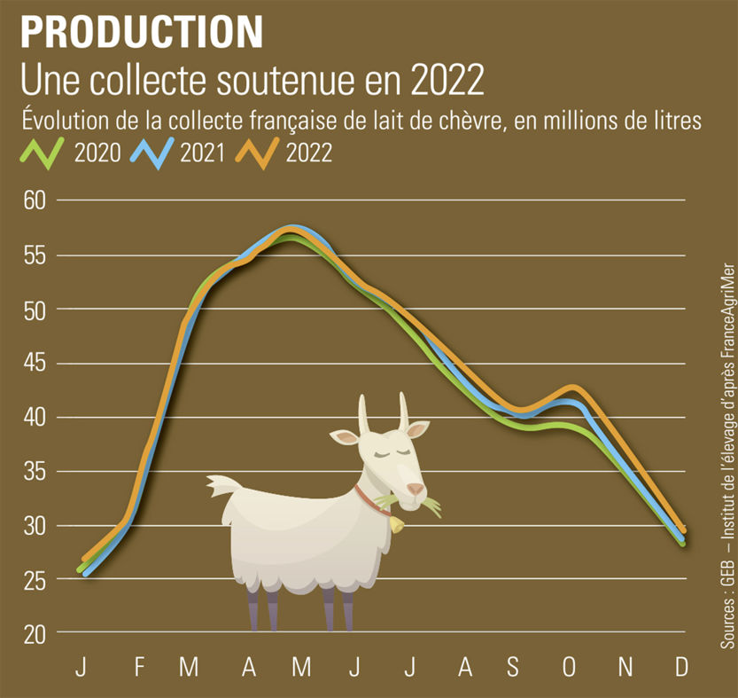 Observatoire : La collecte de lait de chèvre reste dynamique