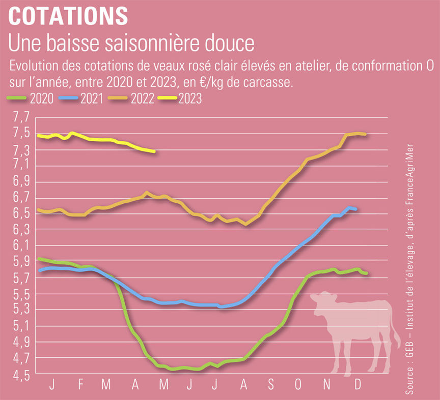Veaux de boucherie : des volumes toujours en baisse