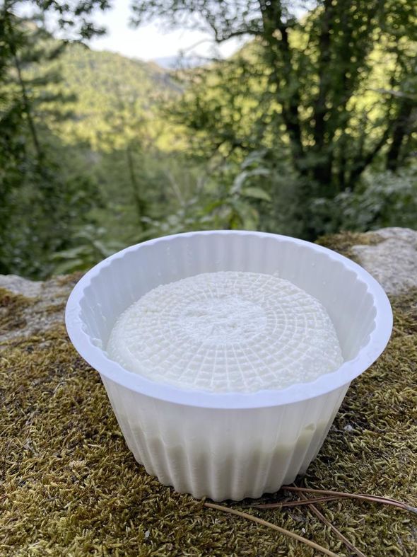 Ouverture de la saison du Brocciu