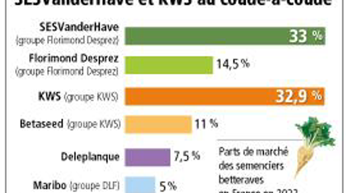 Le recul se confirme