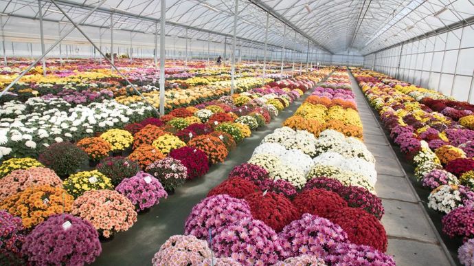 Selecta One renforce sa présence sur le marché français