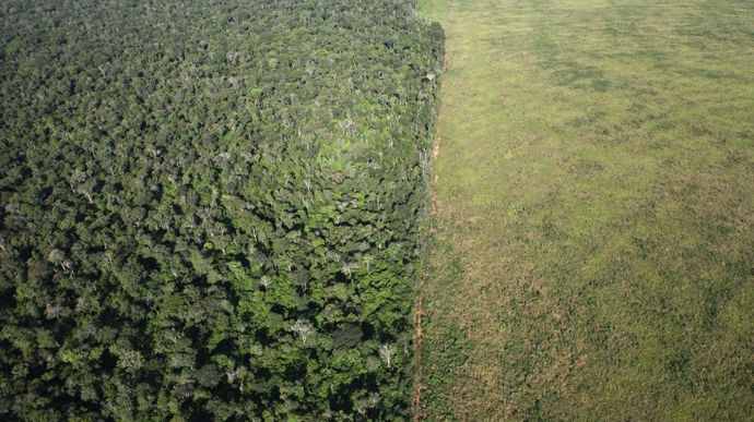 Washington s’attaque au règlement européen anti-déforestation