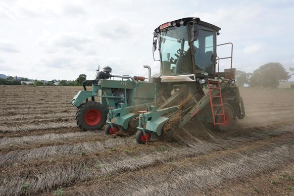 Qu'elles machines pour récolter le Lin