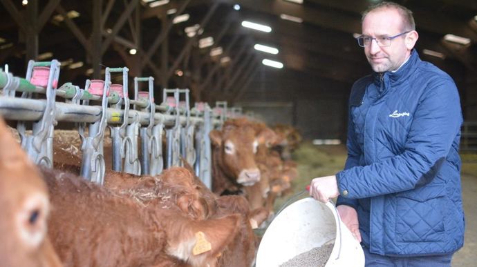 Témoignage d'un éleveur de Limousine qui a amélioré son bilan carbone
