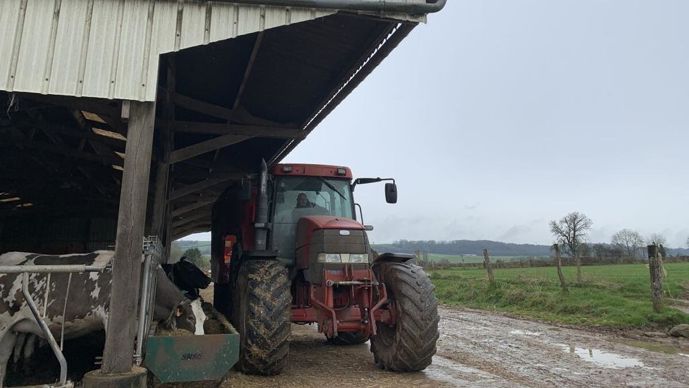 La mutualisation facilite l'installation en élevage bovin lait