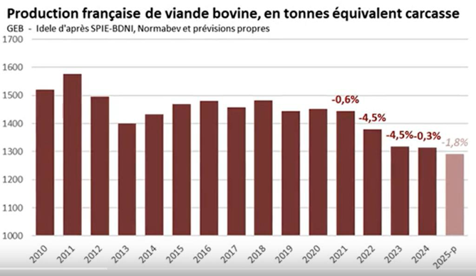 Quel impact du contexte sanitaire sur la production de viande bovine en 2025