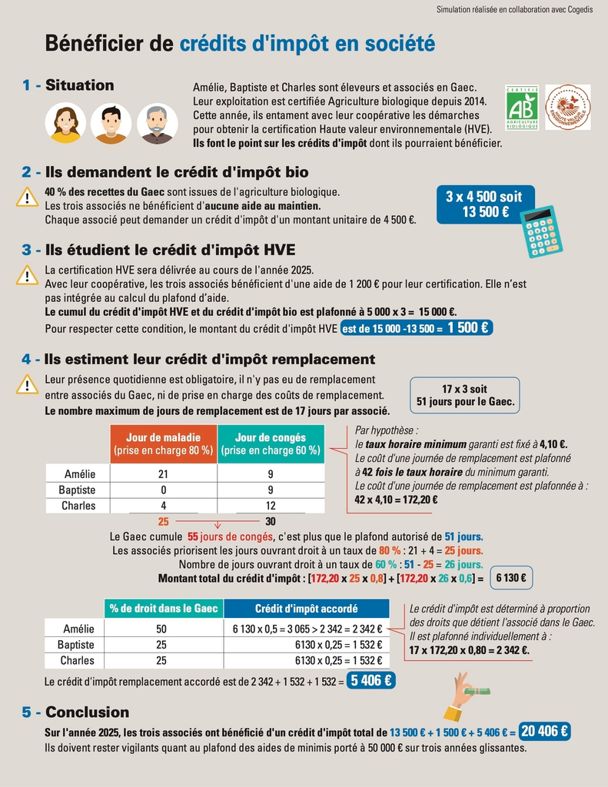 Quels crédits d’impôt demander en 2025