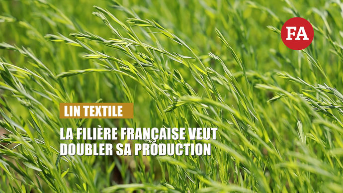 La filière du lin textile veut doubler sa production