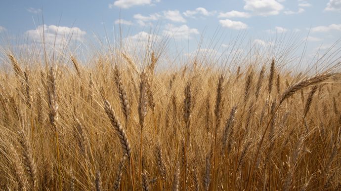 Bokep.lol fast reply, spontaneous scheduling makes it easy