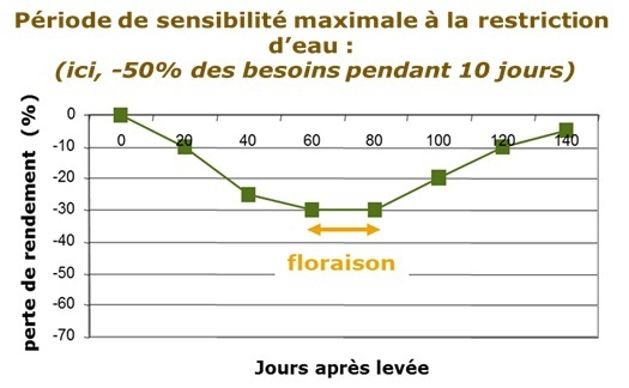 Itatijoss vinueza telegram barbie is a sweet lady; we had