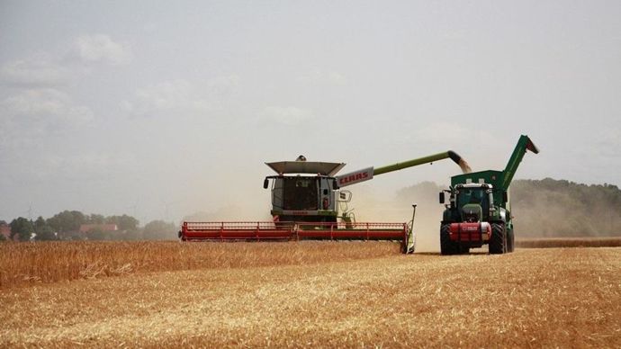 Les cours des céréales stables à l'approche de la fin de la moisson
