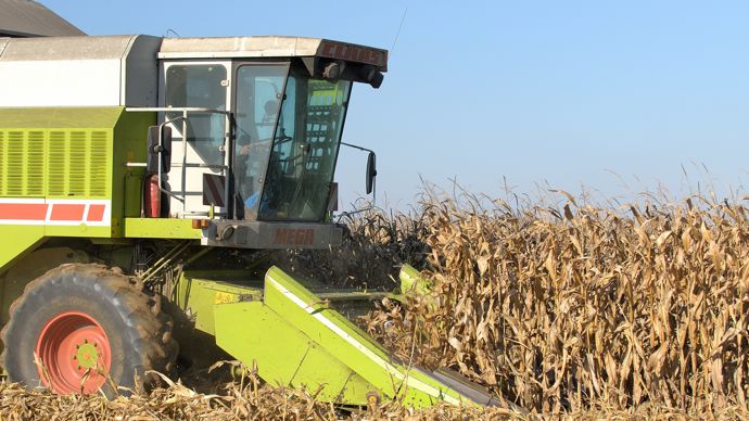 Les résultats d'essais variétés de maïs grain 2025